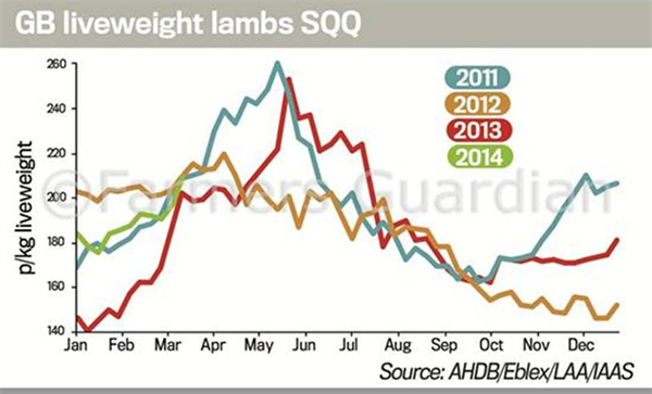 33% INCREASE IN DLWG - Scotmin Nutrition