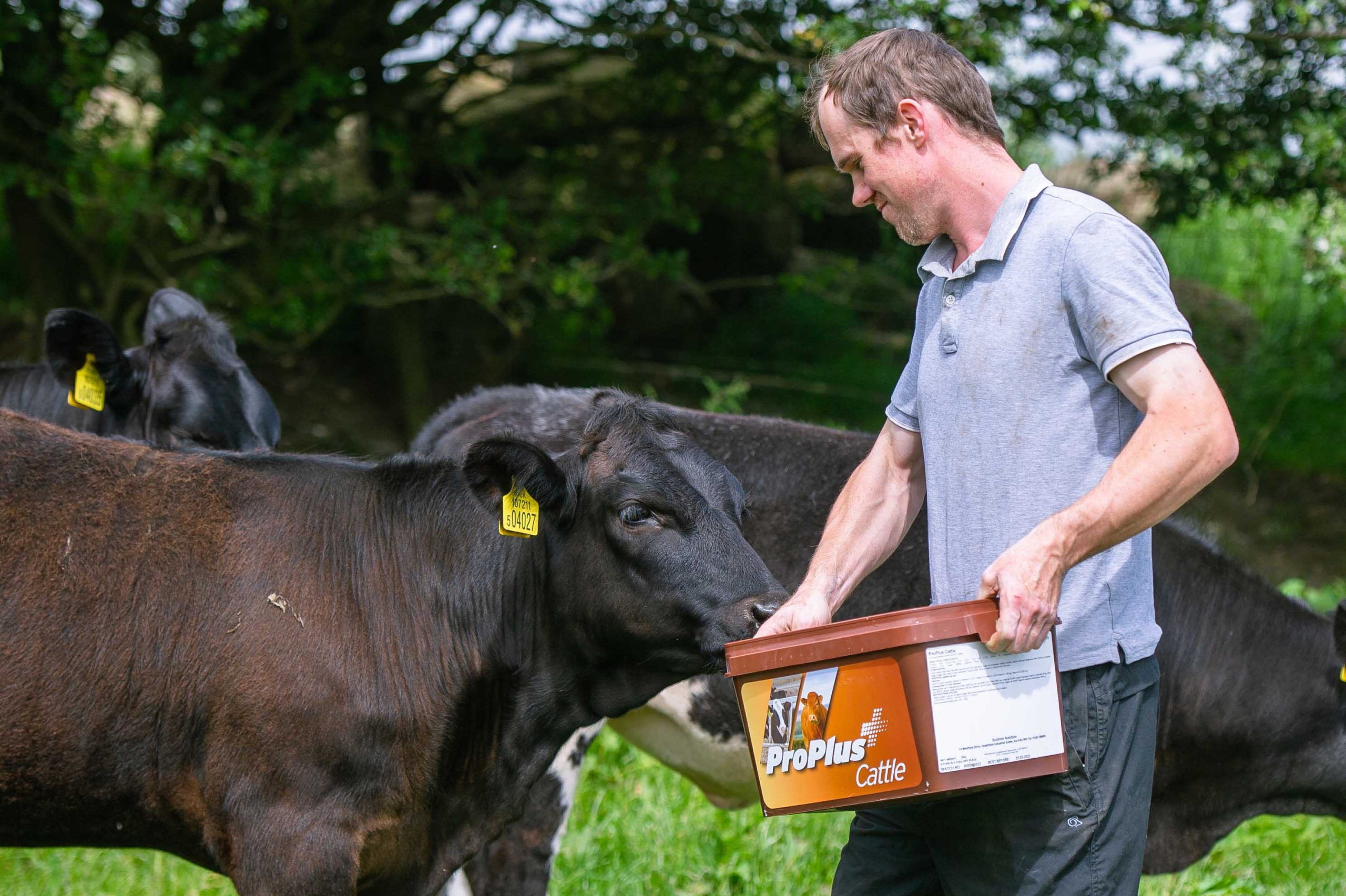 Why Use Supplements - Scotmin Nutrition