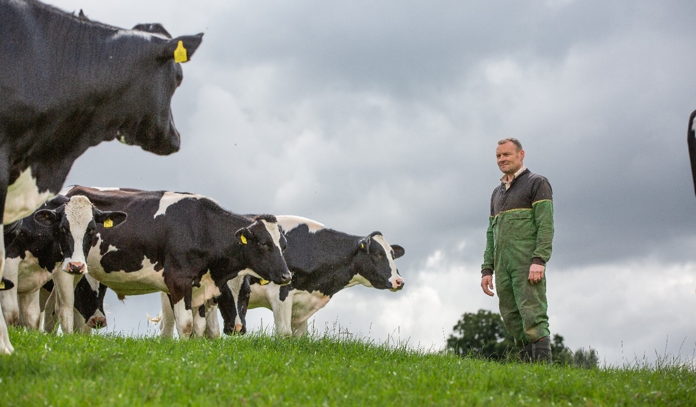 Is Your View On Ruminant Supplementation Balanced? - Scotmin Nutrition
